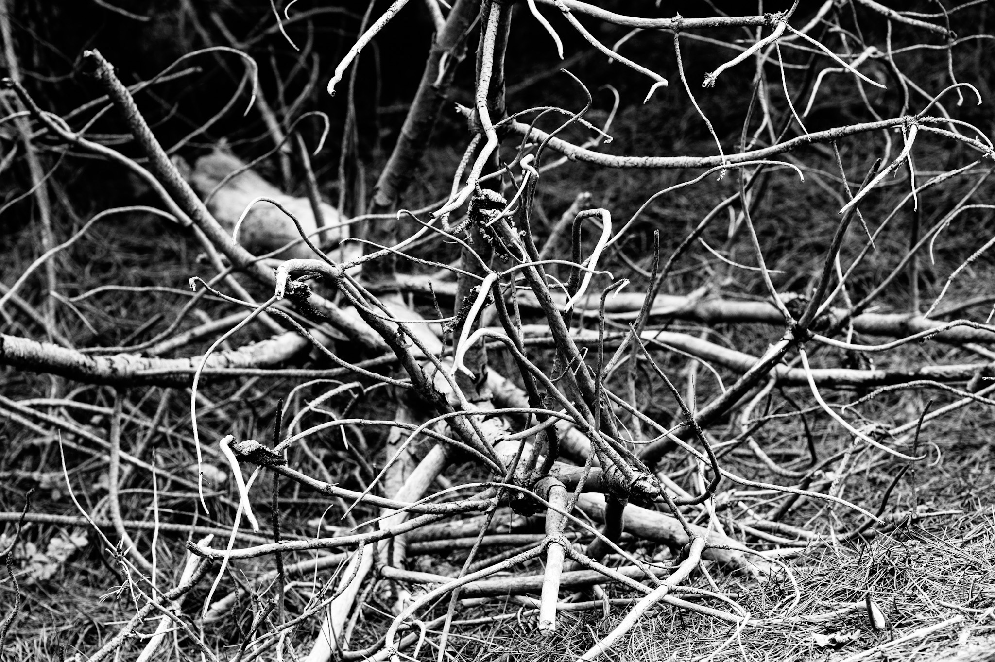 Trouver son chemin | terreorange